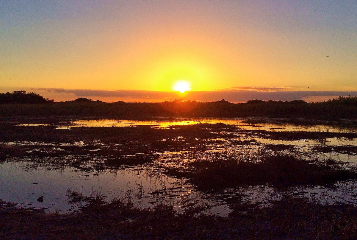 Massive Everglades Wildfire Burns 48,000 Acres in Broward County | Air ...