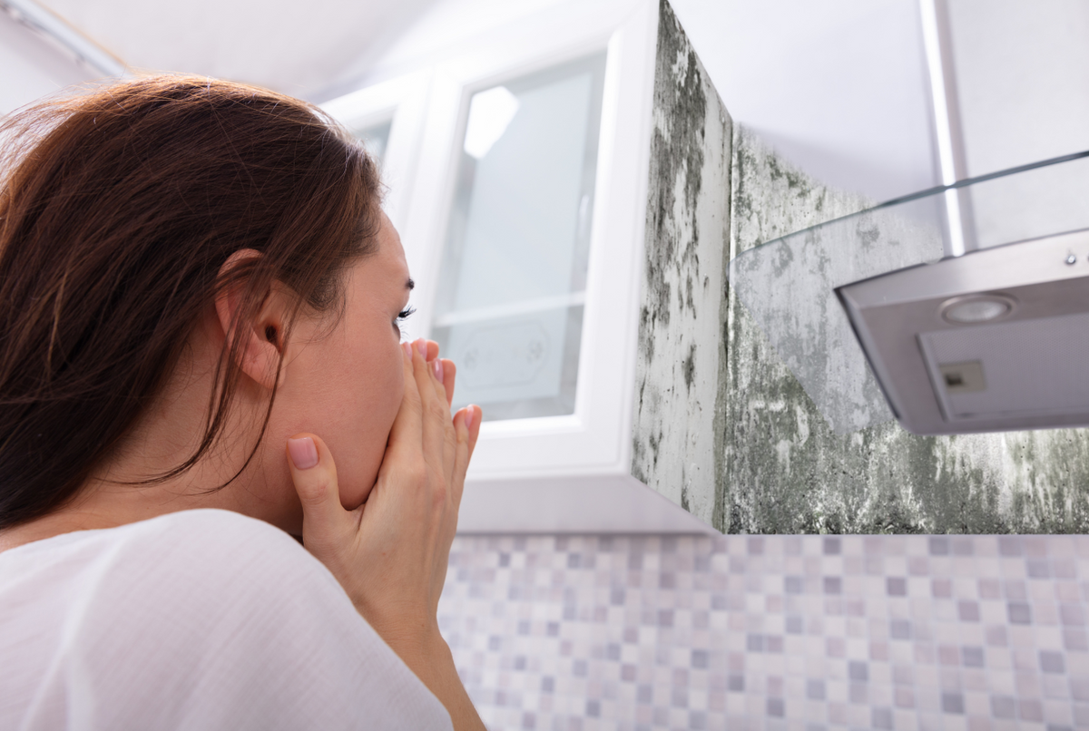 Is This Toxic Mold? A Health-Focused Guide to Identification and Prote ...