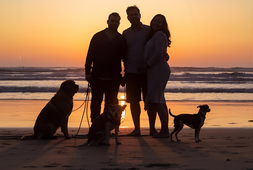 How Many Air Purifiers Do You Need With Multiple Pets? | Air Oasis