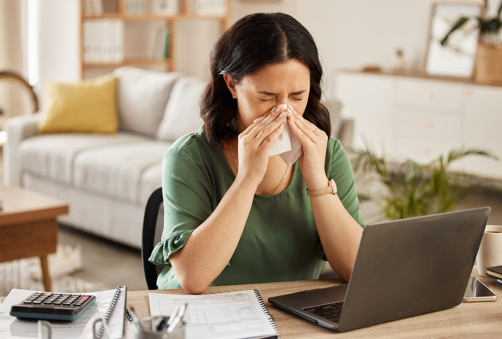 Air purifier for sinus store