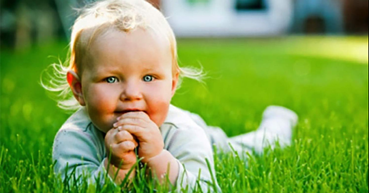 Tips For Baby Safety Month | Air Oasis