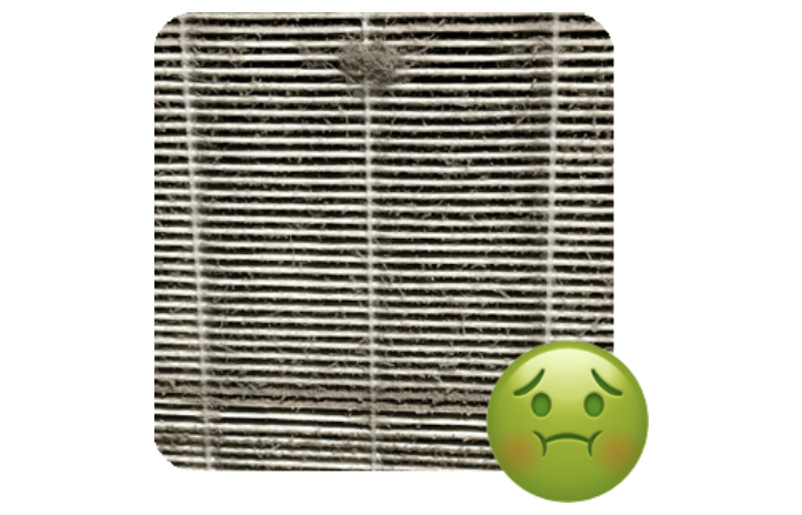 Best App-Enabled Indoor HEPA Air Purifier | iAdaptAir® | Air Oasis