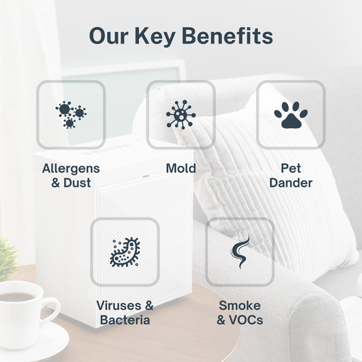 Best App-Enabled Indoor HEPA Air Purifier | iAdaptAir® | Air Oasis