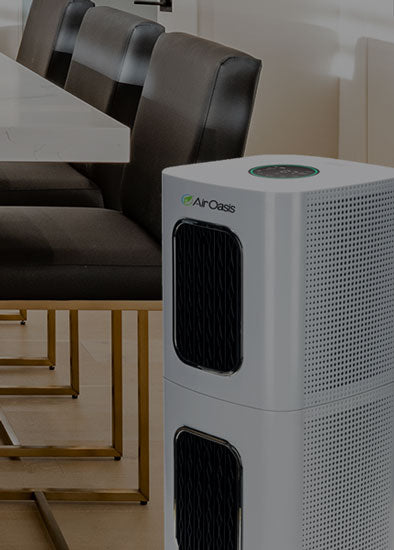 Love The Air You Breathe Air Oasis